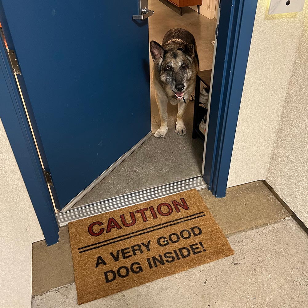 Very Good Dog Doormat – Thoughts Of Dog